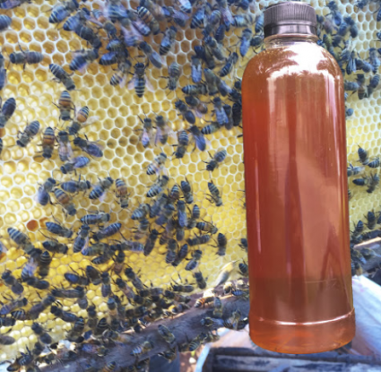 Mật ong hoa cà phê là gì? Đặc điểm và quá trình hình thành