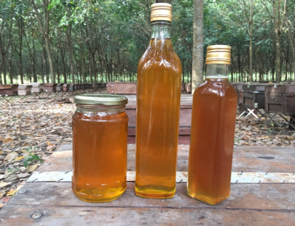 10+ Công Dụng Của Mật Ong Hoa Cà Phê Bạn Nên Biết