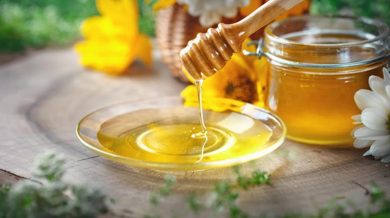 Mật ong rừng là gì? Cách phân biệt mật ong rừng và mật ong nuôi